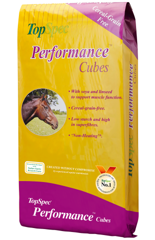 TopSpec Performance Cubes